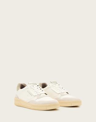 AllSaints – Regan – Low-Top-Sneaker aus Leder in Weiß und Grau | ASOS