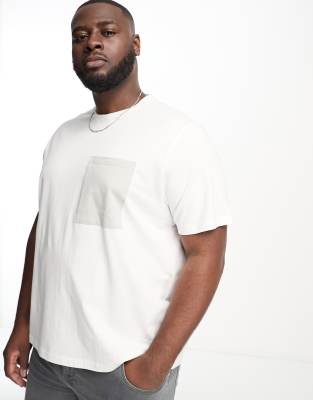 Another Influence Plus regular fit colour block t-shirt in white | ASOS