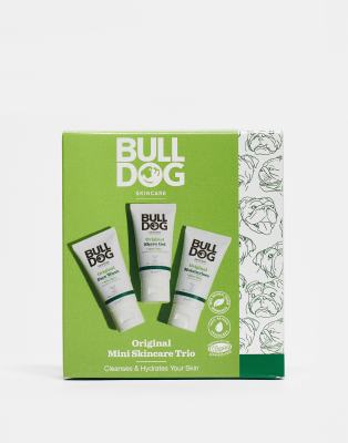 Bulldog - Trio Original formato mini | ASOS