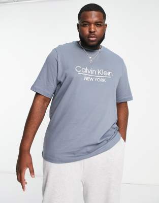 Calvin Klein Big & Tall centre logo t-shirt in grey | ASOS