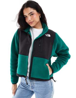 Chaqueta polar verde de tejido grueso Retro Denali de The North Face | ASOS