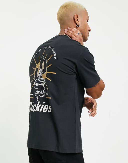 Dickies Bettles back print t-shirt in black | ASOS
