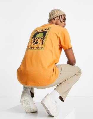 Dickies Pacific t-shirt in rust | ASOS