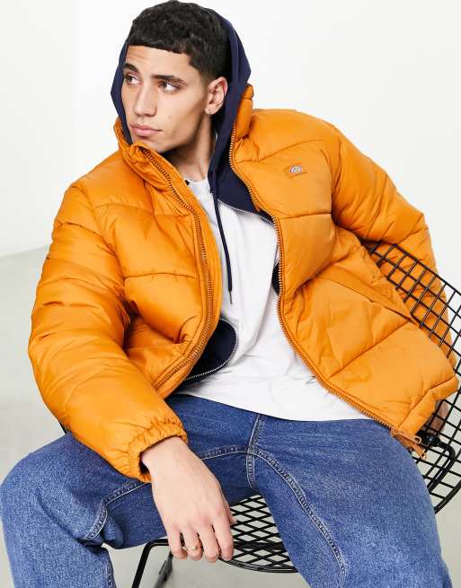 Dickies Waldenburg puffer jacket in rust | ASOS