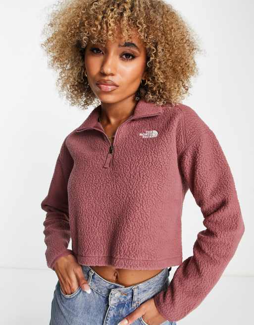 Exclusivité Asos The North Face Polaire Courte à Col Zippé En