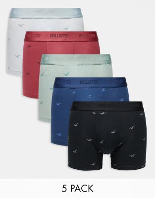 Hollister 5-pack icon logo printed trunks in grey, green, red, blue and ...