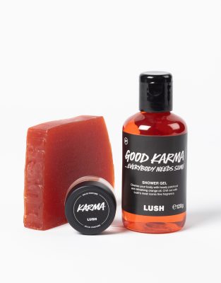 LUSH Feeling Good Karma Shower Gel, Soap & Solid Perfume Discovery Set ...