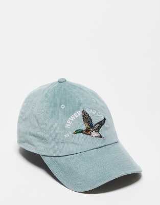 New Era – Casual Classic Wildlife – Unisex-Kappe aus Cord in Hellblau ...