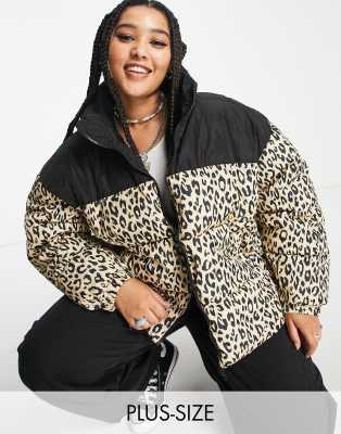 Only Curve padded jacket in leopard & black | ASOS