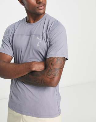 Puma seasons short sleeve t-shirt in grey | ASOS