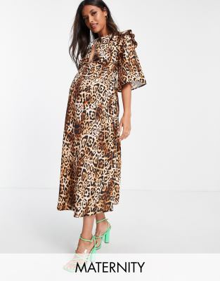 Queen Bee exclusive tie neck detail frill midi dress in leopard print ...