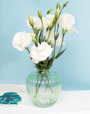 Sass & Belle Round Ribbed Glass Vase | ASOS