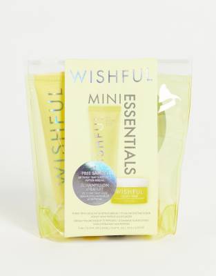 Set de productos básicos en tamaño mini de Wishful | ASOS