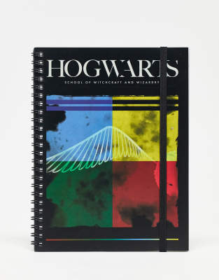 Typo x Harry Potter - Hogwarts House Colours - Quaderno A5 | ASOS